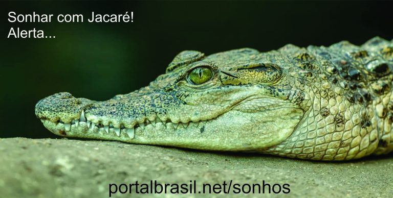 Sonhar com Jacaré têm Alguns Significados. Atenção Cuidado!